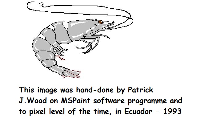 Could this be the first prawn image to have been digitally built ...